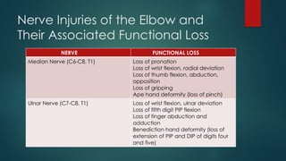 3- elbow & hand mobilization.and muscles and bone | PPTX