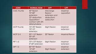 3- elbow & hand mobilization.and muscles and bone | PPTX