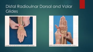 3- elbow & hand mobilization.and muscles and bone | PPTX