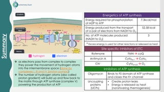 3- Electron Transport Chain pdf which is related to biochemistry | PPT