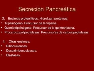3 el pancreas | PPT