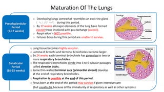 3-Embryology Of Respiratory System.pdf