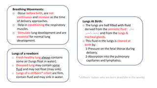 3-Embryology Of Respiratory System.pdf
