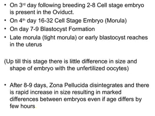 3-embryonic mortality. in domestic animals | PPT