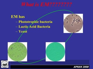 3 Em Technology The Principles | PPT