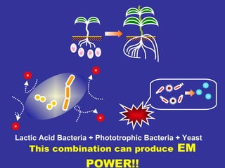3 Em Technology The Principles | PPT