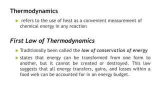 ENVI 3 energy flow in an ecosystem FINAL | PPTX