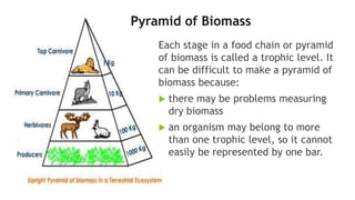 ENVI 3 energy flow in an ecosystem FINAL | PPT
