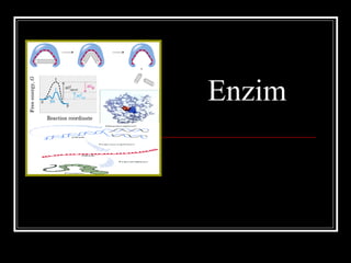 3. enzim | PPT