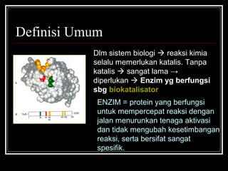 3. enzim | PPT