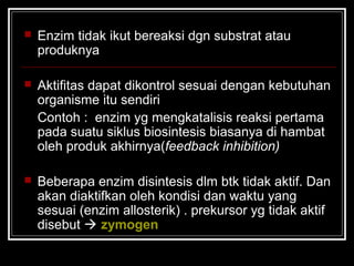 3. enzim | PPT