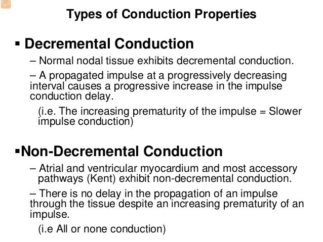 Electrophysiologic Study
