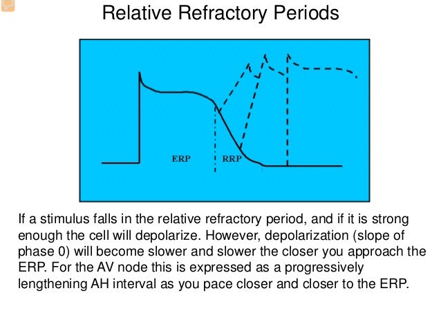 Functional Refractory Period