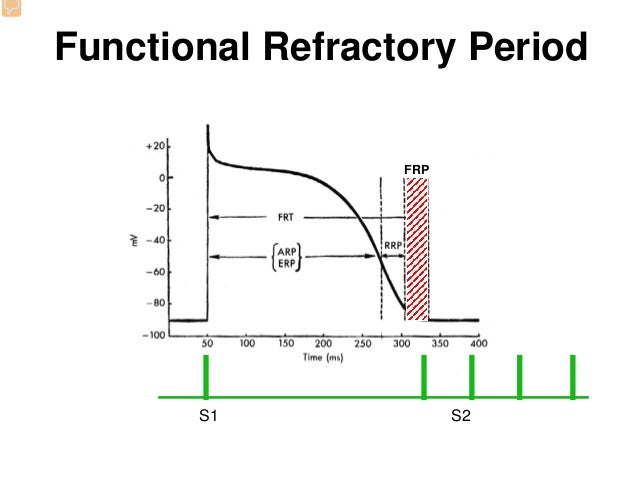 Functional Refractory Period