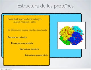 21. Estructura de les proteïnes | PDF