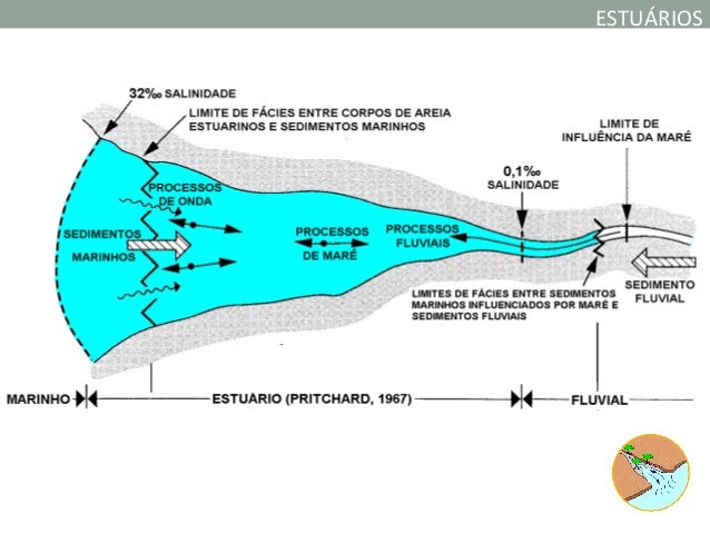 Estuários