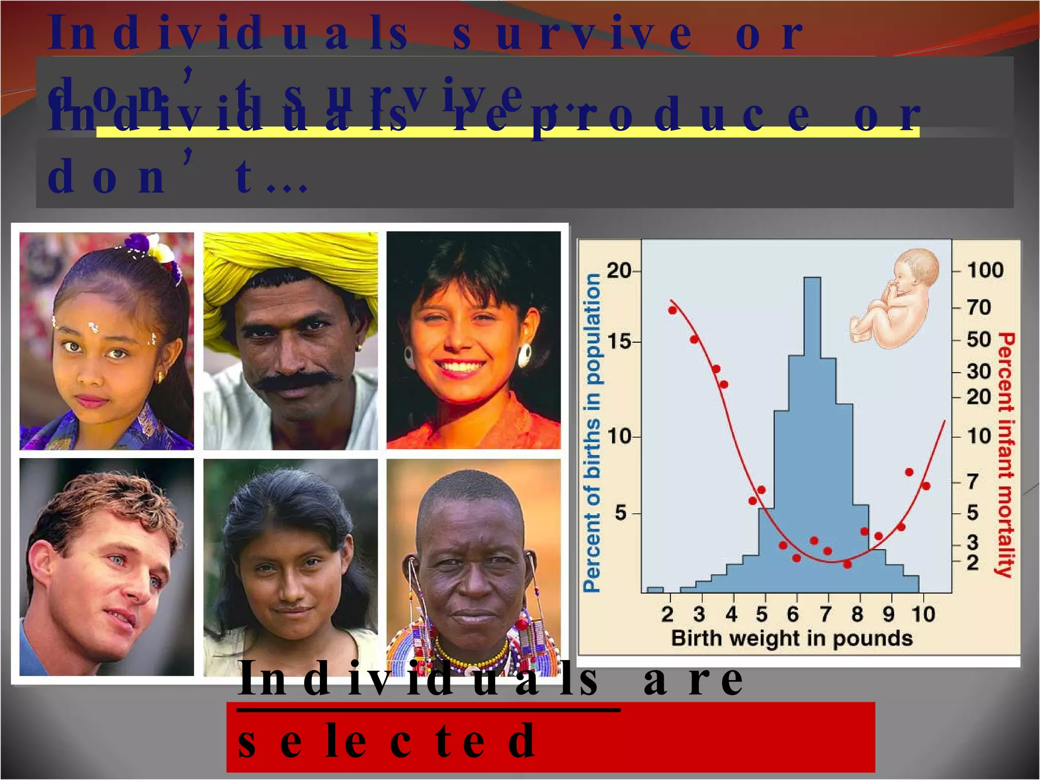 Evolution Of Populations | PPT