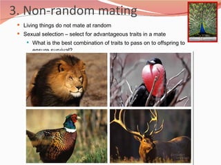 Evolution Of Populations | PPT