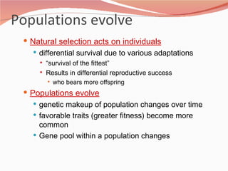 Evolution Of Populations | PPT