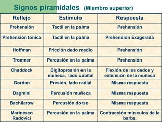 3-examen-fisico-neurologico1.ppt