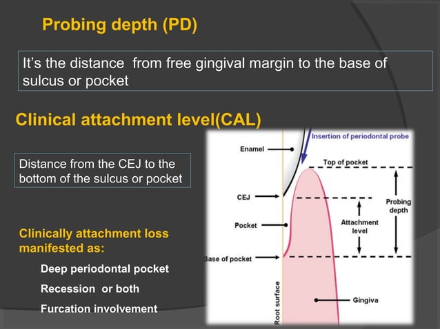 Periodontal examination and diagnosis | PPT