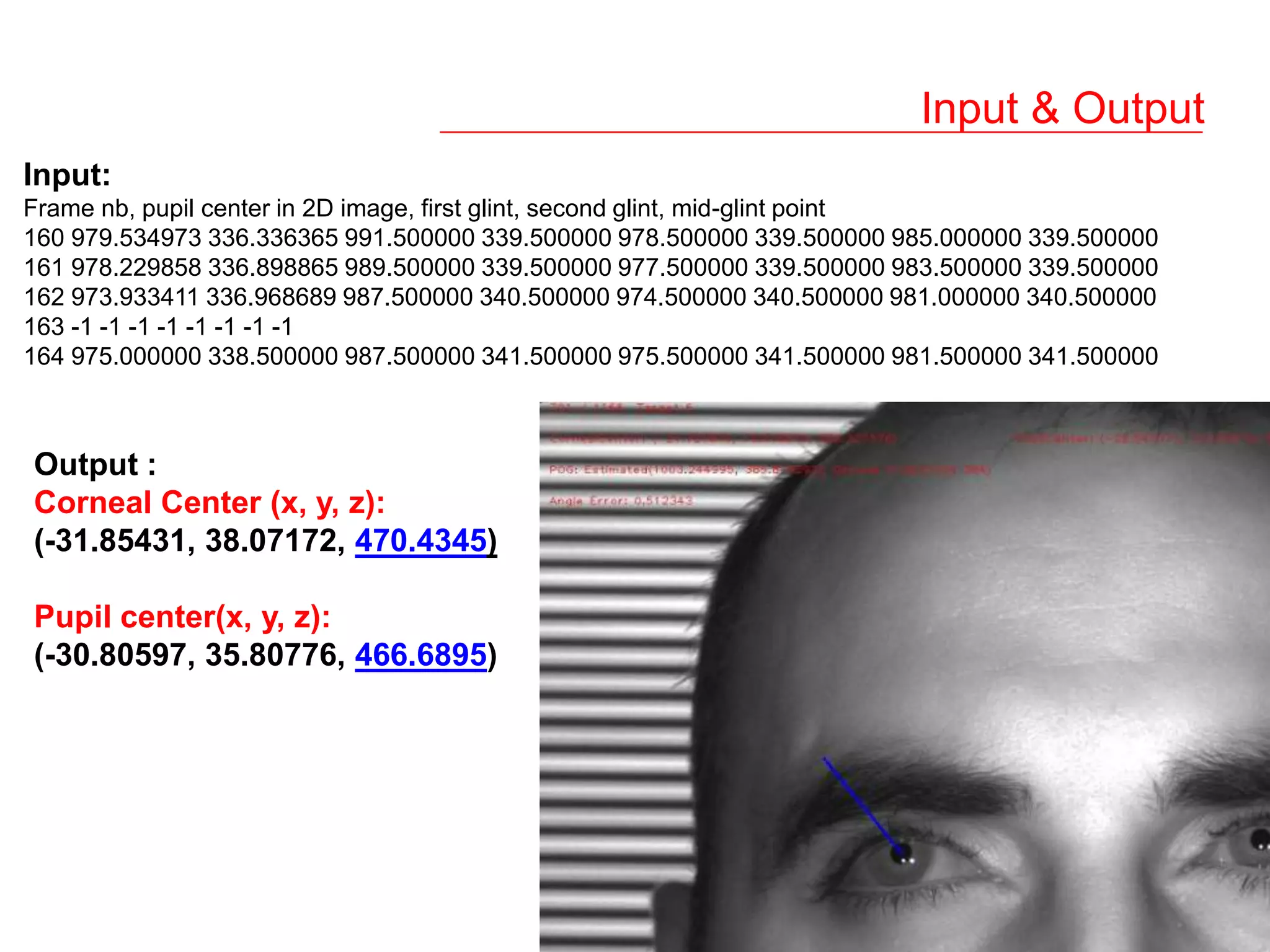 eyeblink-detection | PPTX