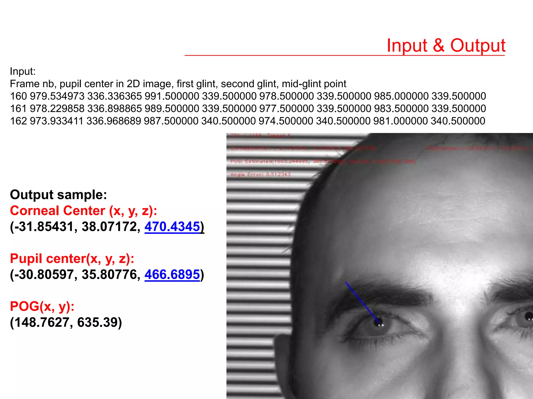 eyeblink-detection | PPTX