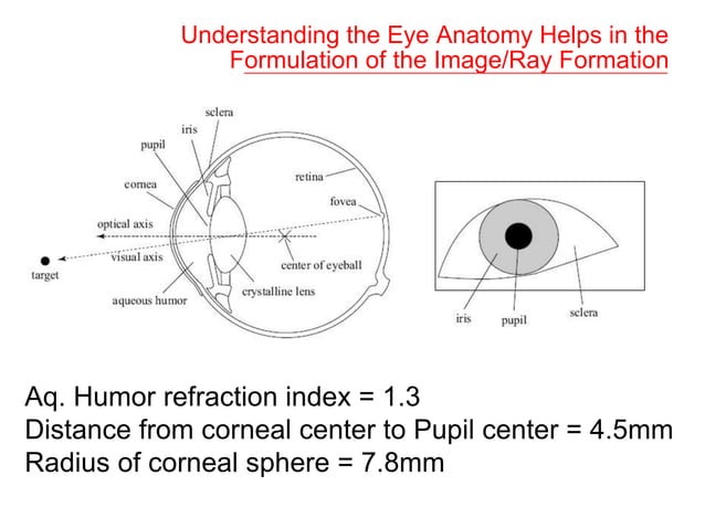 eyeblink-detection | PPTX