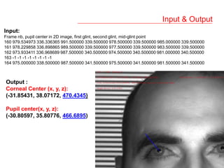 eyeblink-detection | PPTX