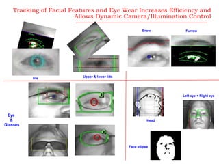 3 eyeblink-detection | PPT