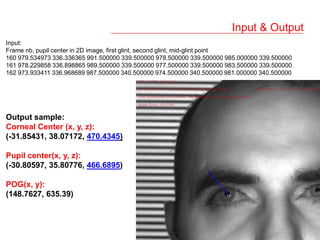 3 eyeblink-detection | PPT