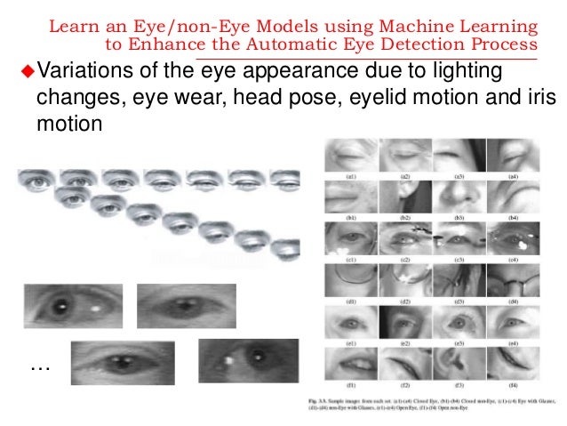 3 Eyeblink Detection 7959