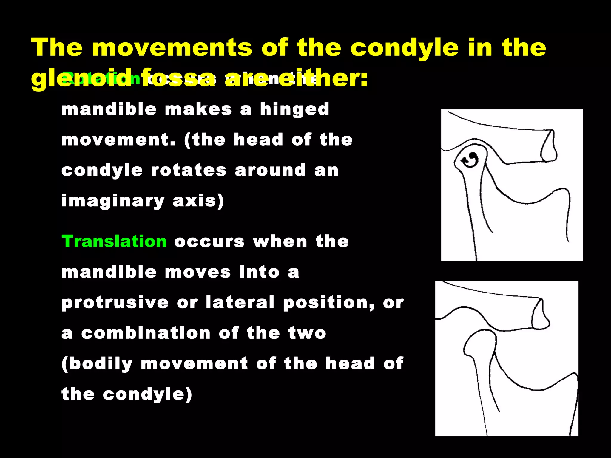 3- Factors affecting balanced occlusion final | PPT