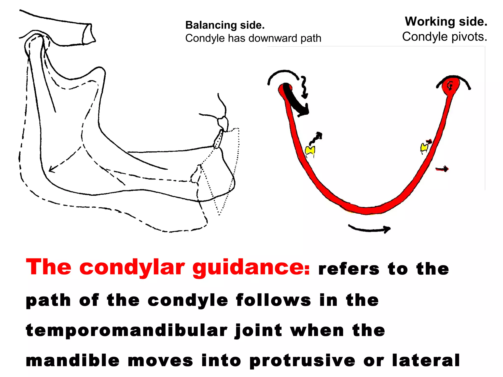 3- Factors affecting balanced occlusion final | PPT