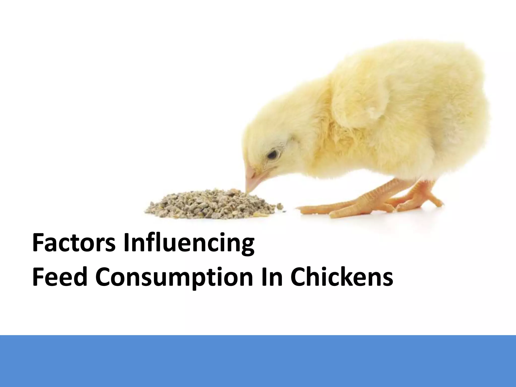 Factors Affecting Feed Consumption In Chicken | PPTX
