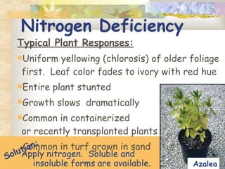 FYN Principle #3 - Fertilize Appropriately | PPT