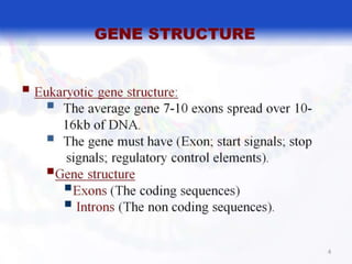 GENE EXPRESSION.pptx