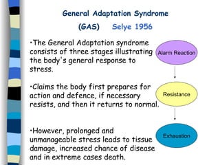 3. General Adaptation Syndrome | PPT