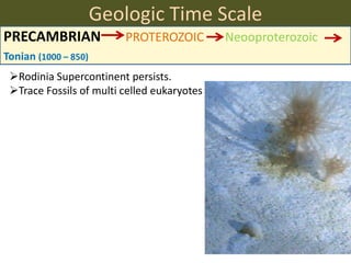 3 -geologic time scale | PPTX