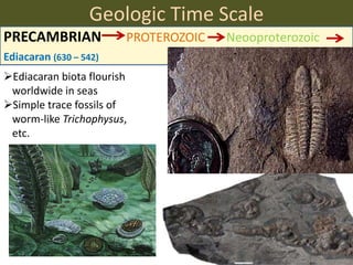 3 -geologic time scale | PPTX