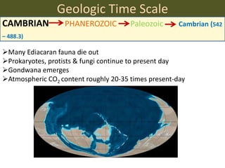 3 -geologic time scale | PPTX | Geography | Science
