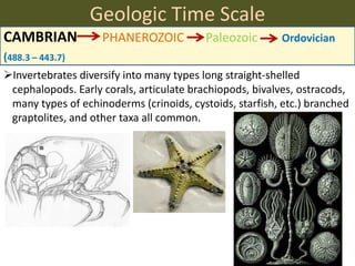 3 -geologic time scale | PPTX | Geography | Science