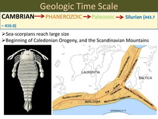 3 -geologic time scale | PPTX