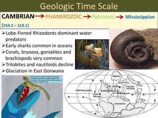 3 -geologic time scale | PPTX