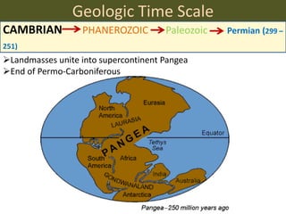 3 -geologic time scale | PPTX | Geography | Science