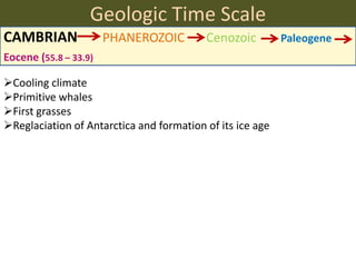 3 -geologic time scale | PPTX | Geography | Science