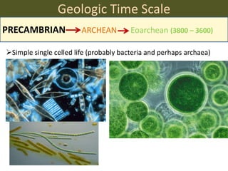 3 -geologic time scale | PPTX