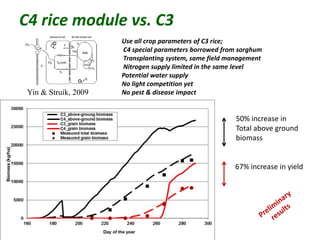 3 gfsf irri progress | PPTX