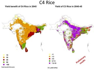 3 gfsf irri progress | PPTX