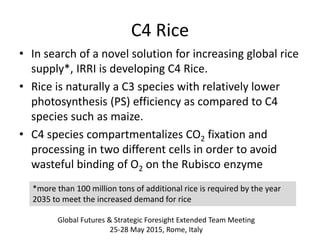 3 gfsf irri progress | PPTX